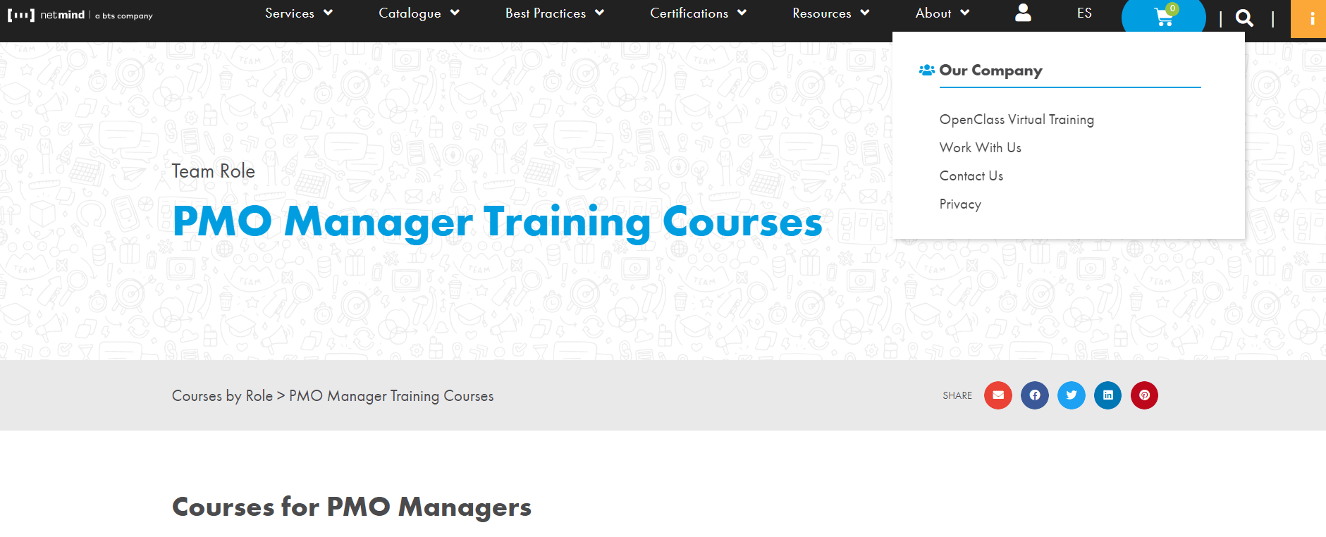 Back to School: Top PMO Courses to Consider