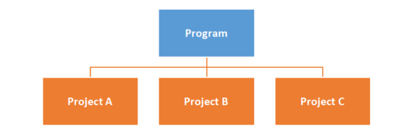 Program vs Project Manager - What Are the Differences